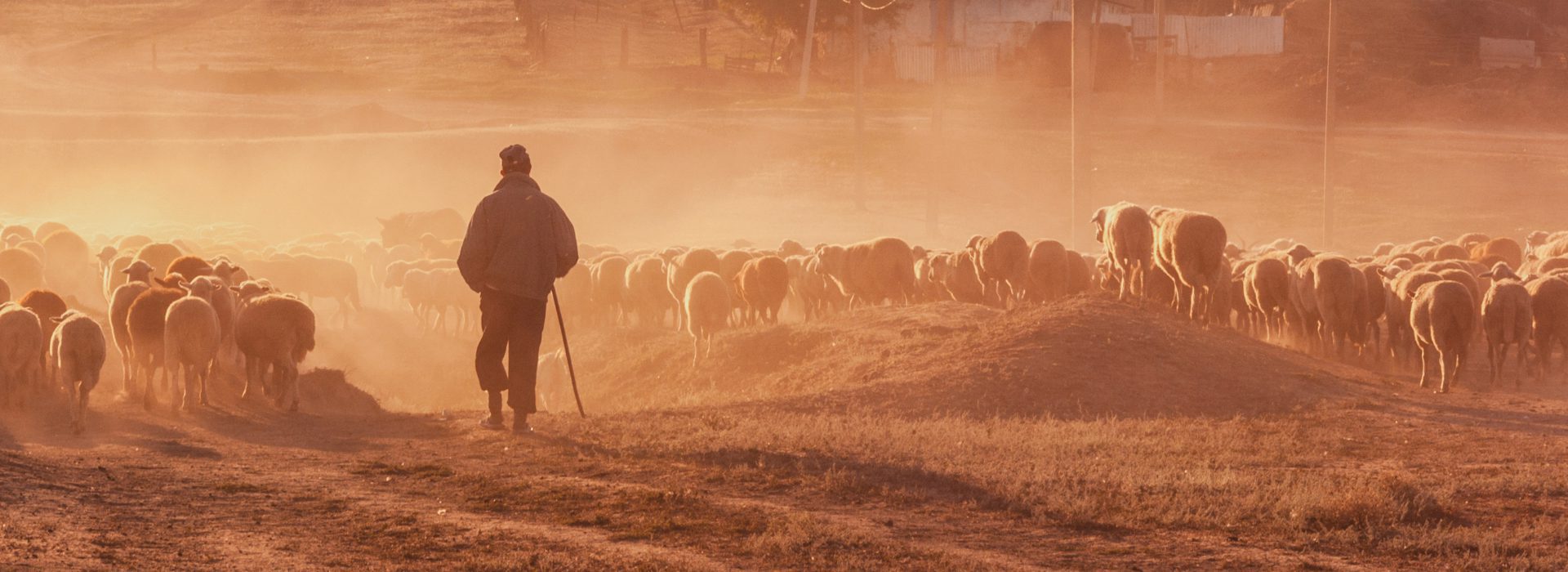 Faithfully Serving! - Slavic Gospel Association